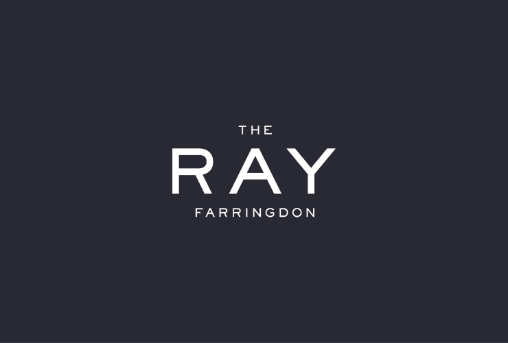 The Ray | Real Estate & Office Branding | Steve Edge Design
