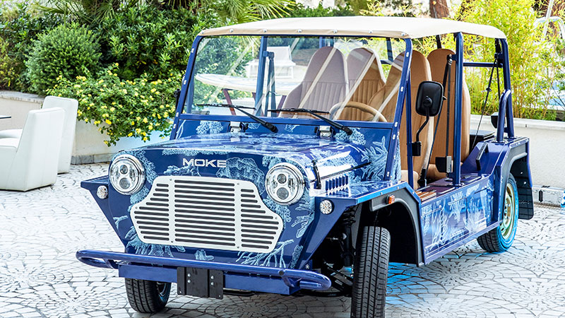 Moke auction for Blue Marine | Steve Edge Design